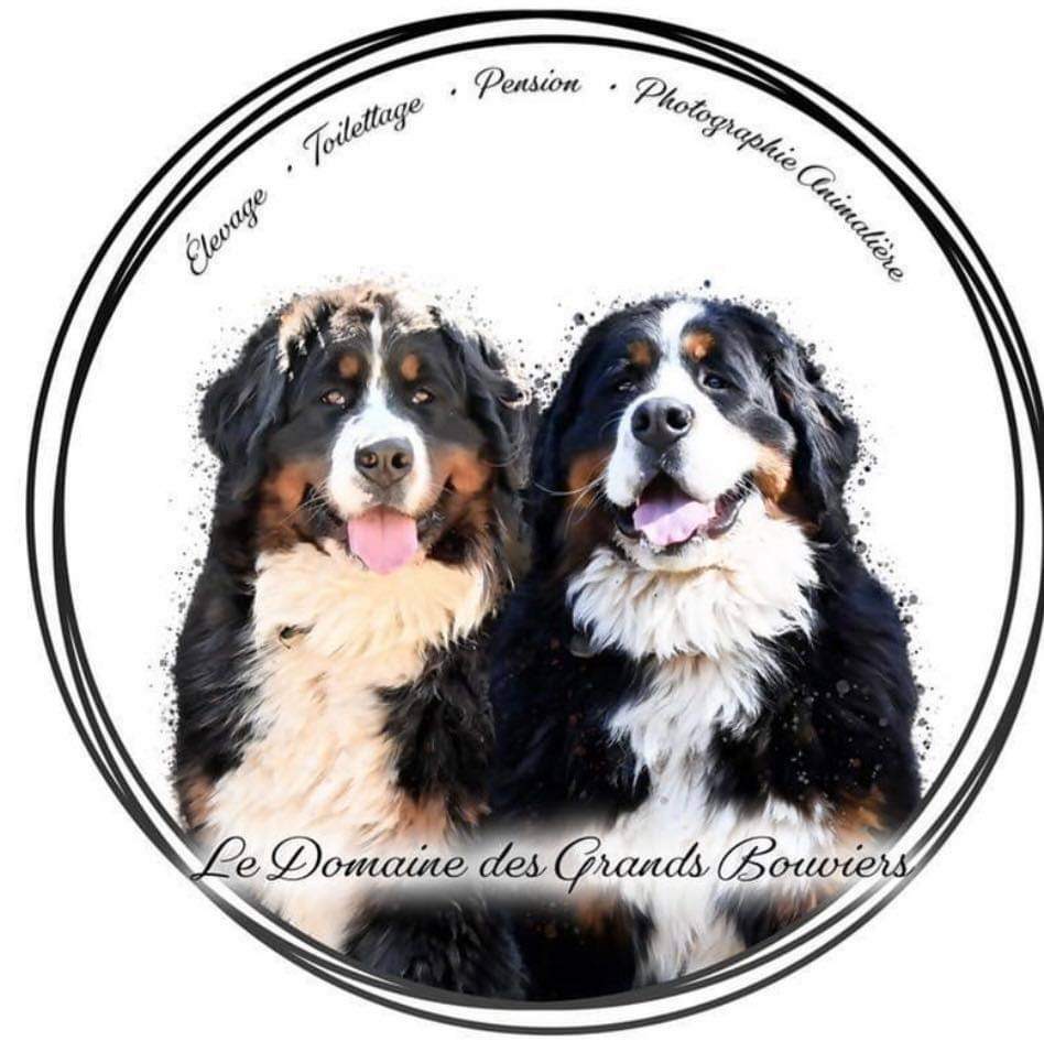 Pierrick Lacroix | Coupe Charles-Bruneau